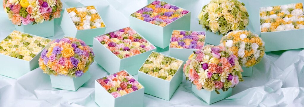 Nicolai Bergmann | ニコライ バーグマン 公式ウェブサイト