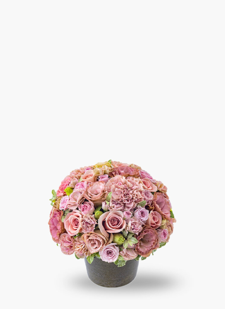 Nicolai Bergmann | ニコライ バーグマン 公式ウェブサイト