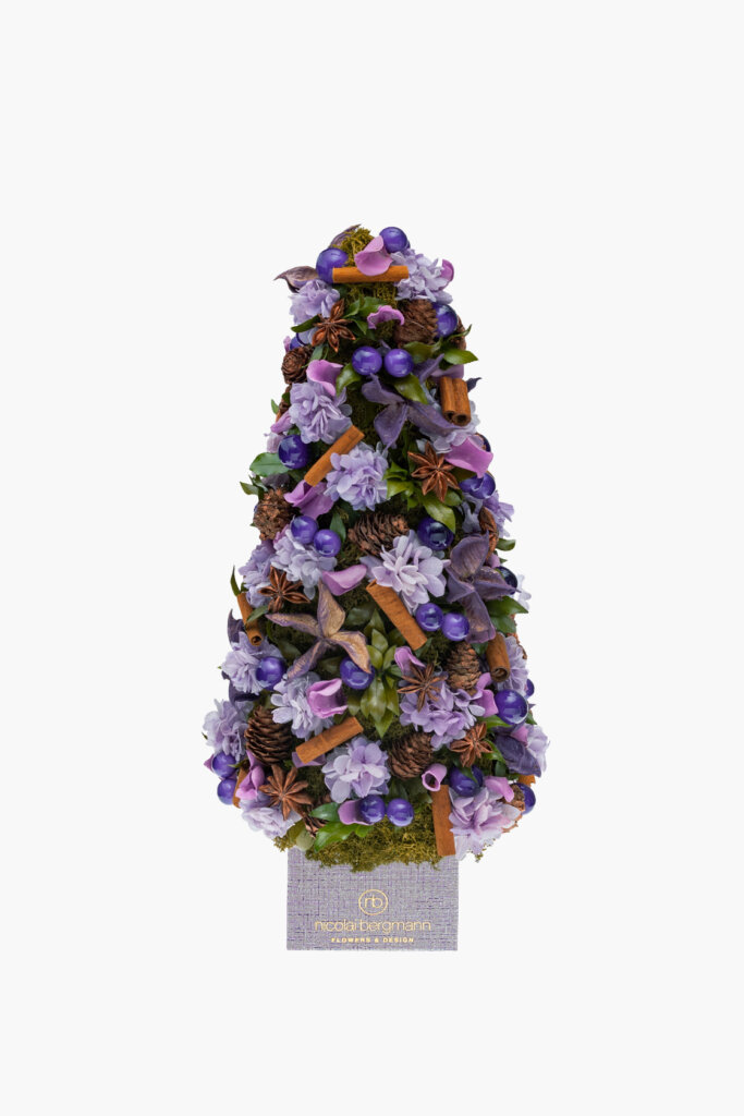 Nicolai Bergmann | ニコライ バーグマン 公式ウェブサイト