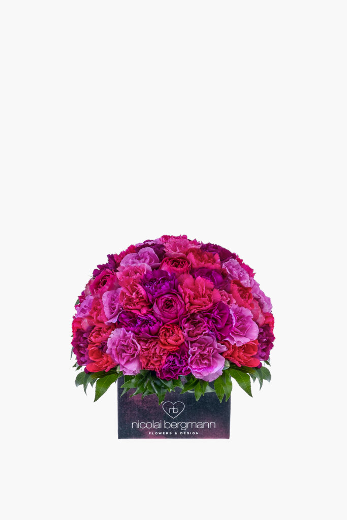 Nicolai Bergmann | ニコライ バーグマン 公式ウェブサイト