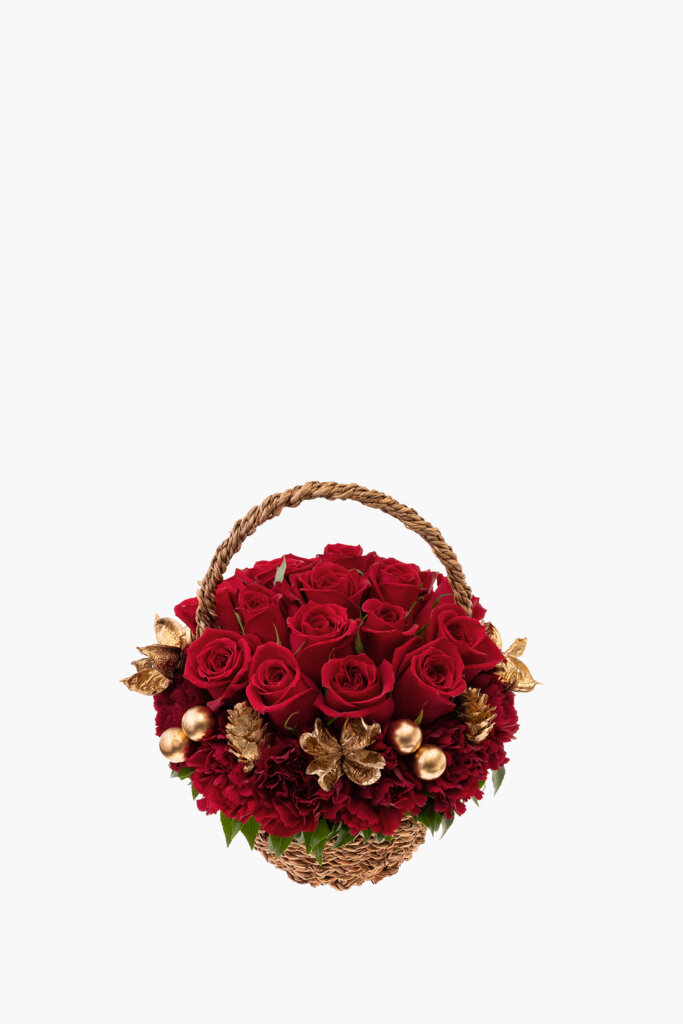 Nicolai Bergmann | ニコライ バーグマン 公式ウェブサイト