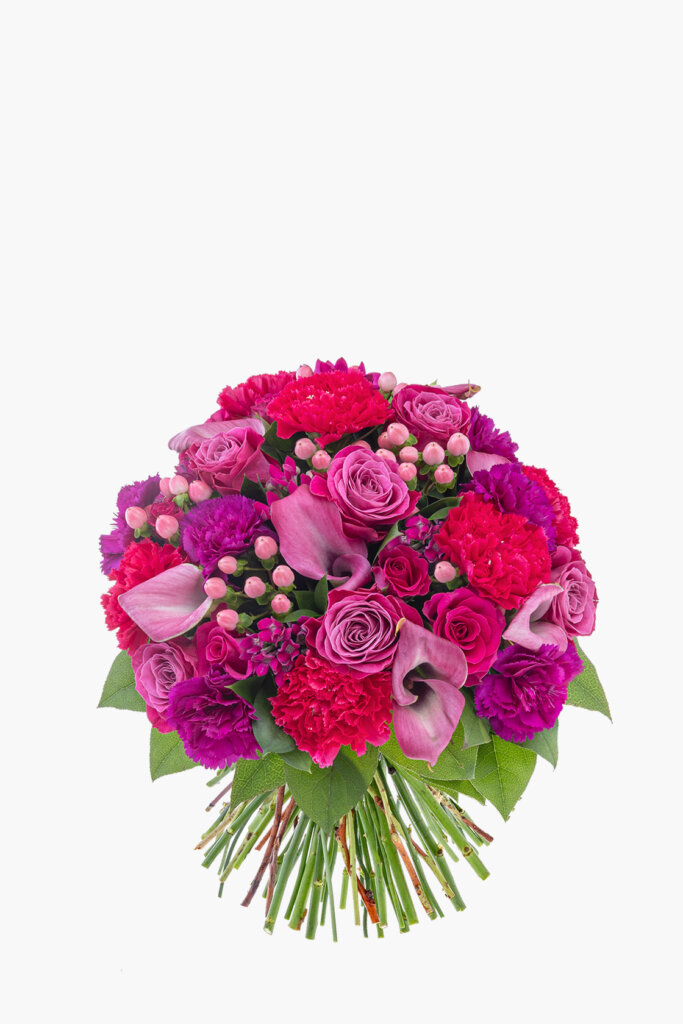 Nicolai Bergmann | ニコライ バーグマン 公式ウェブサイト