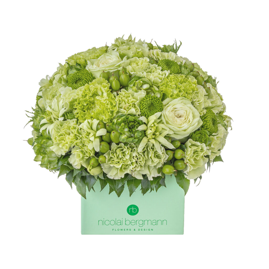 Nicolai Bergmann | ニコライ バーグマン 公式ウェブサイト